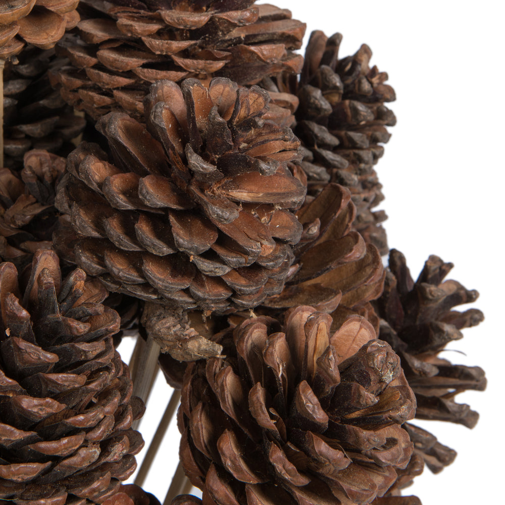 Vickerman H7BPS000 Natural Botanicals 2" Blue Pine Natural On Stem. In ...