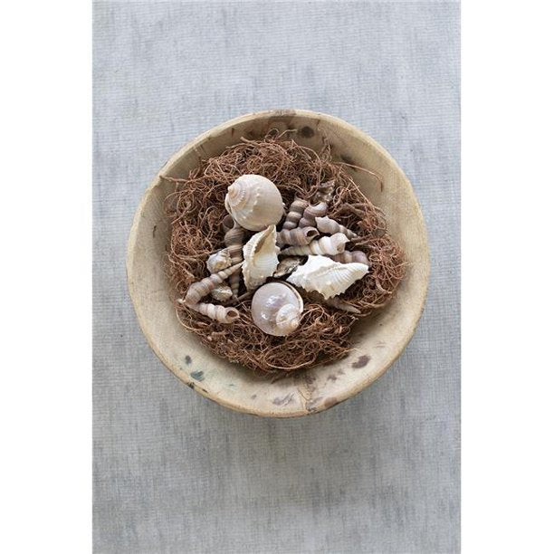 Kalalou NTRP1010 Bag of Twelve Assorted Shells with Curly Moss – Uber ...